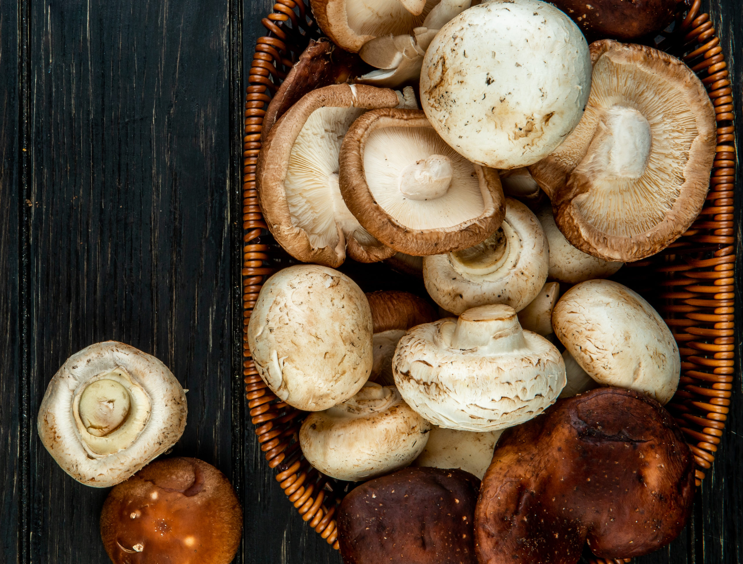 Hongos y Setas - Chefeel.com