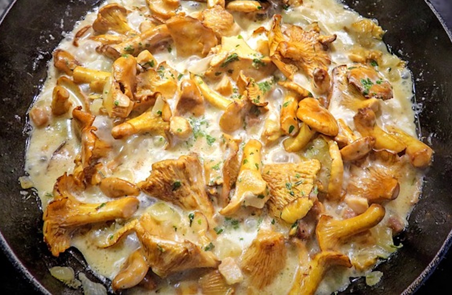 Setas a la Crema - Chefeel.com